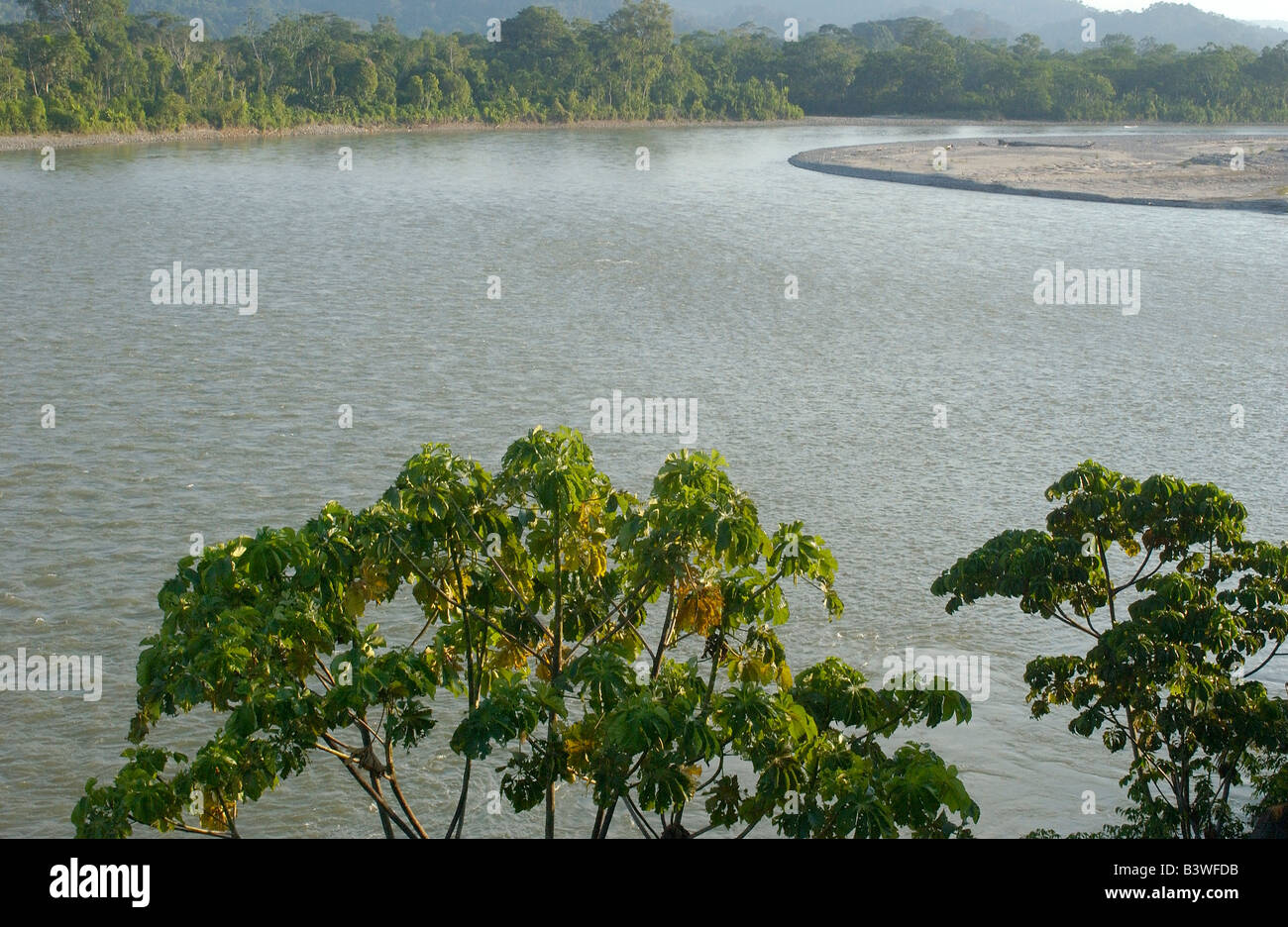 Napo River. Near Alluano. Amazon Rain Forest. Ecuador, South America ...
