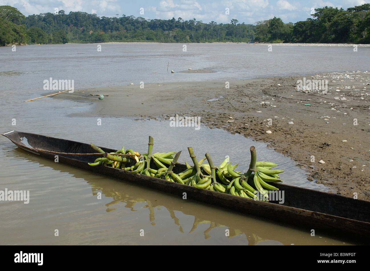 Canoe on Misahualli River which runs into the Napo River Amazon Rain ...