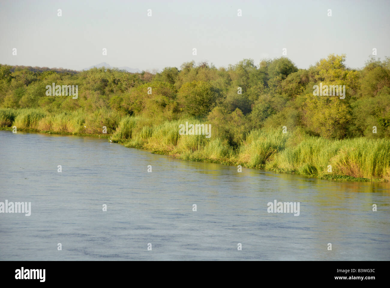 Mexico, State of Sinaloa, El Fuerte. El Fuerte river Stock Photo - Alamy
