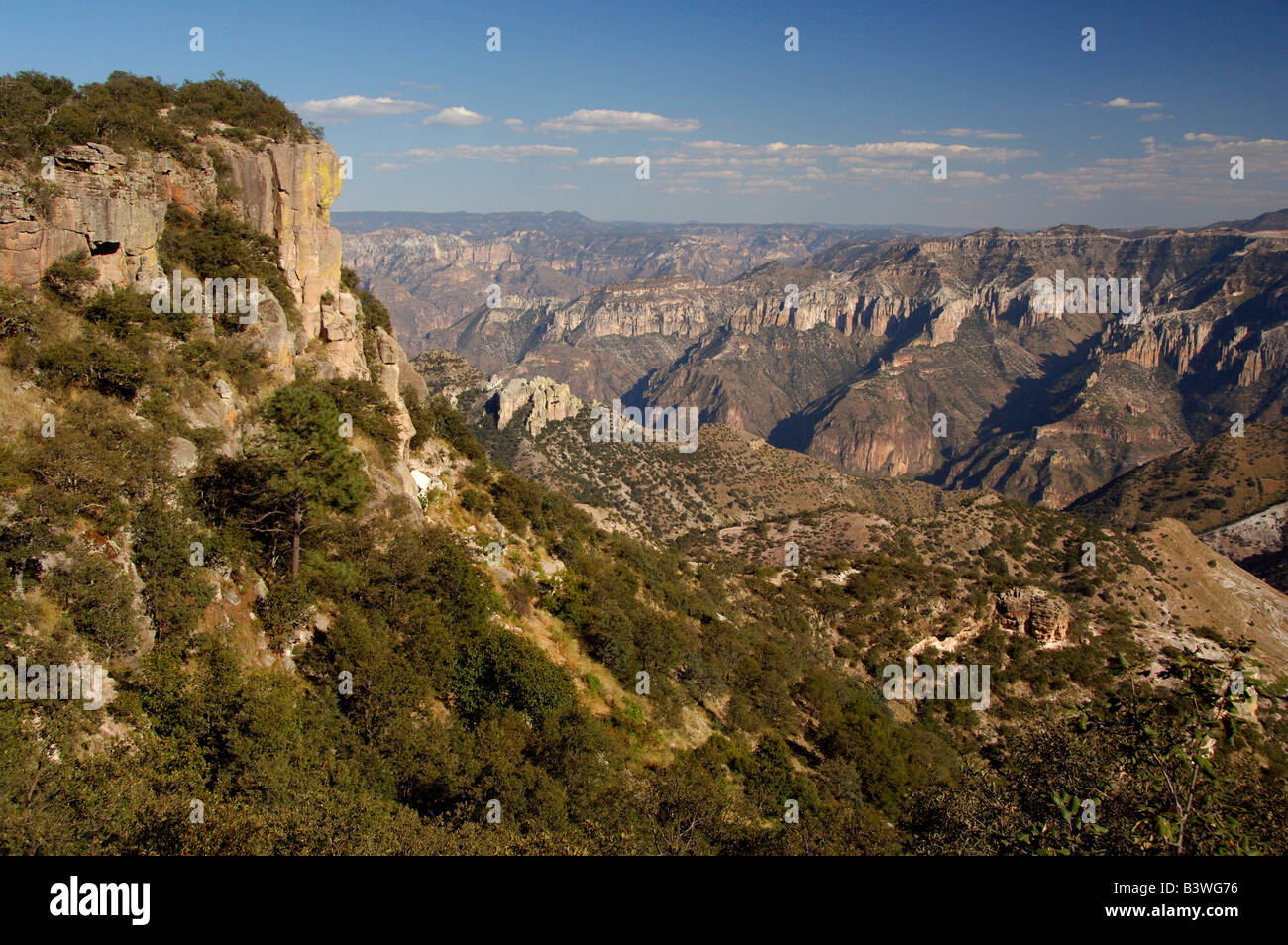Mexico, State of Chihuahua, Copper Canyon Stock Photo - Alamy