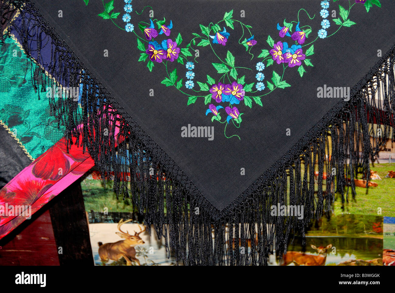 Mexico, Chihuahua, Cuahtemoc. Mennonite museum Stock Photo - Alamy