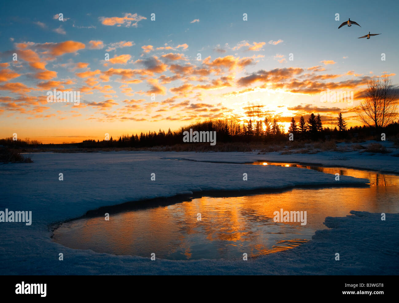 Lake at sunset, Alberta, Canada Stock Photo - Alamy