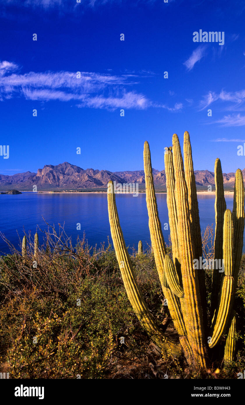 San Carlos, Mexico Stock Photo - Alamy