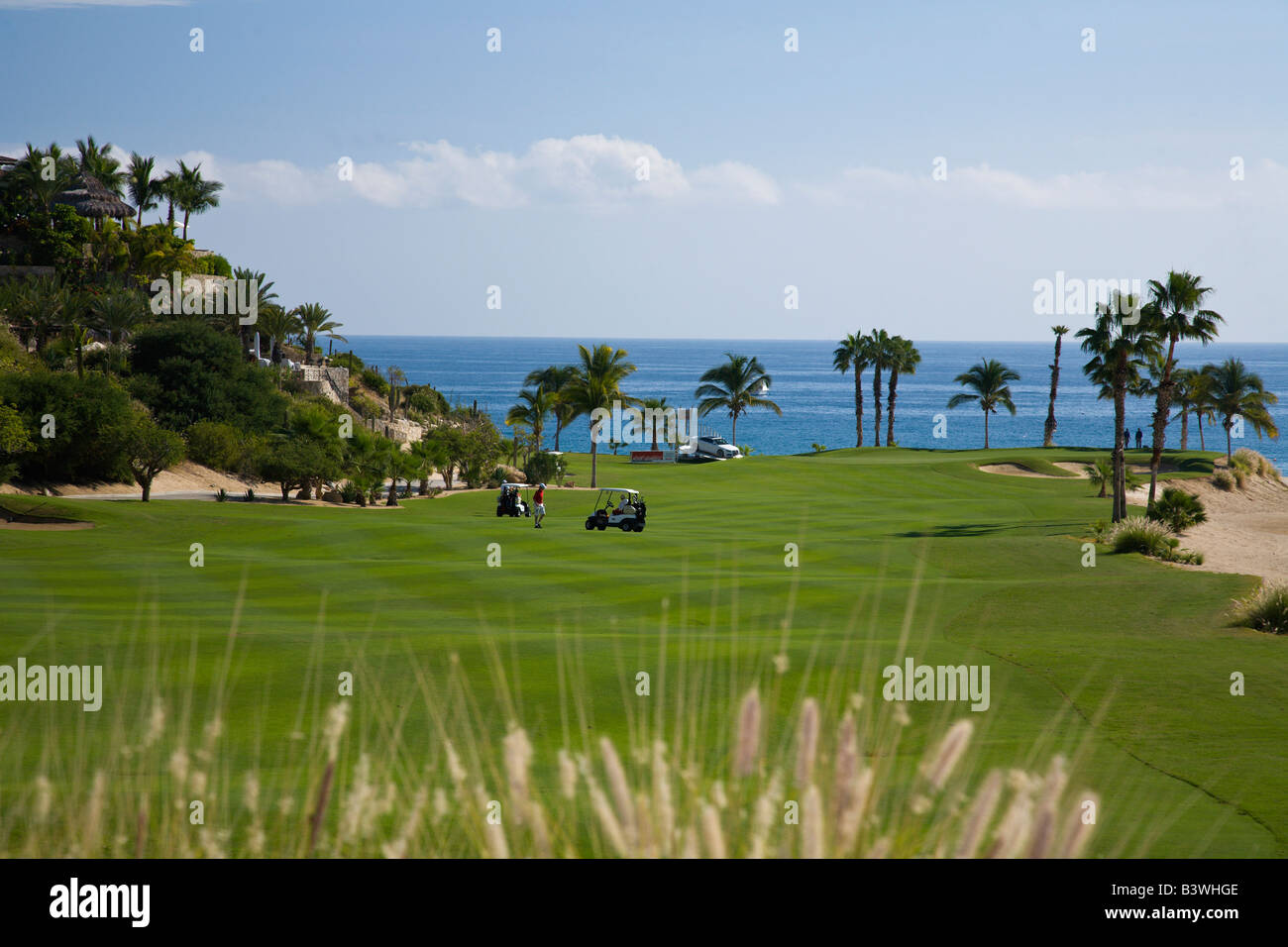 Cabo san lucas mexico golf hi-res stock photography and images - Alamy