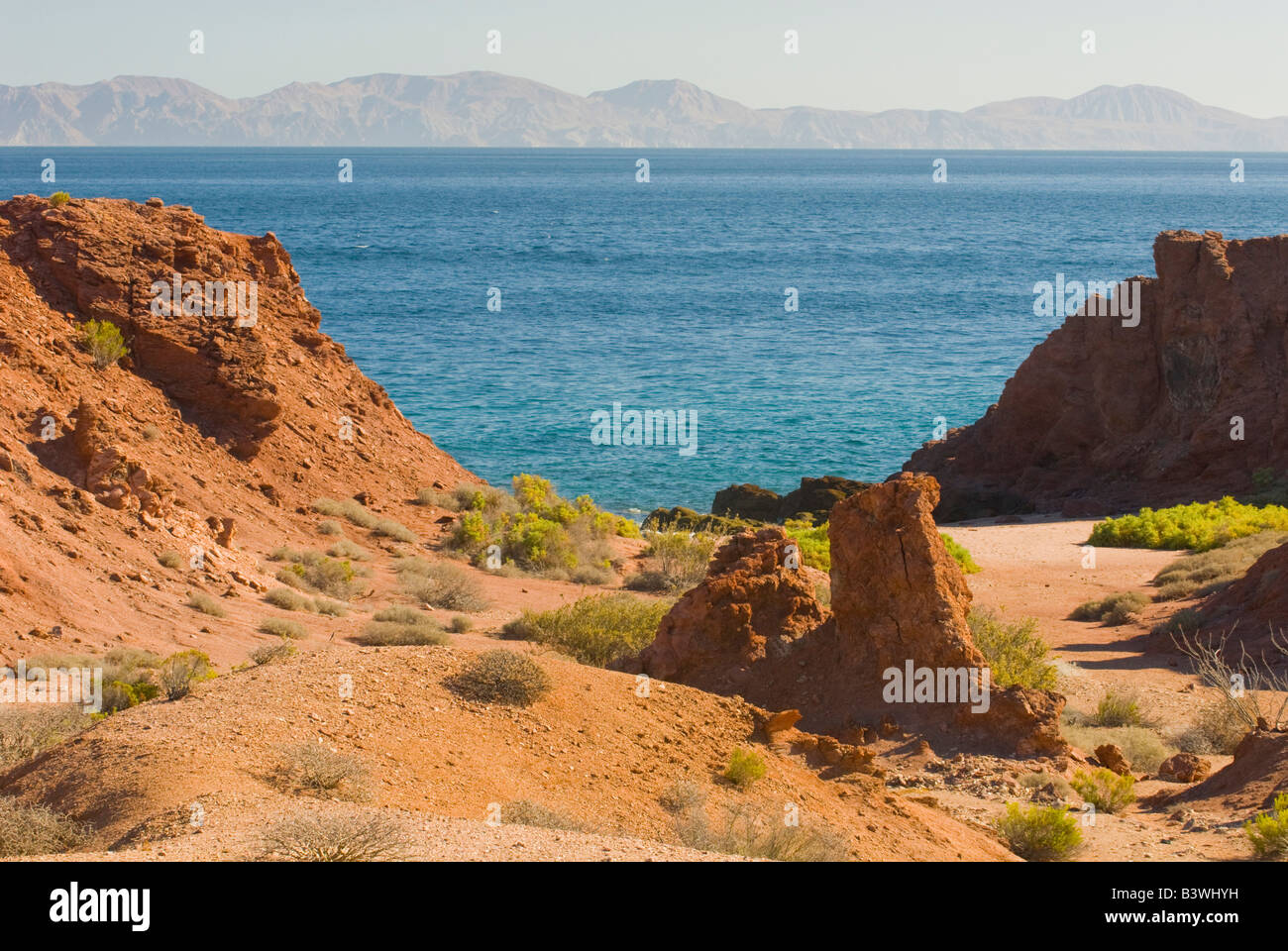 Isla angel de la guardia hi-res stock photography and images - Alamy