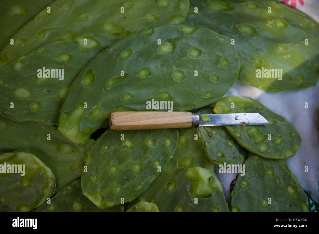 Edible Green cactus vegetable and knife Patzcuaro Mexico Open Market ...