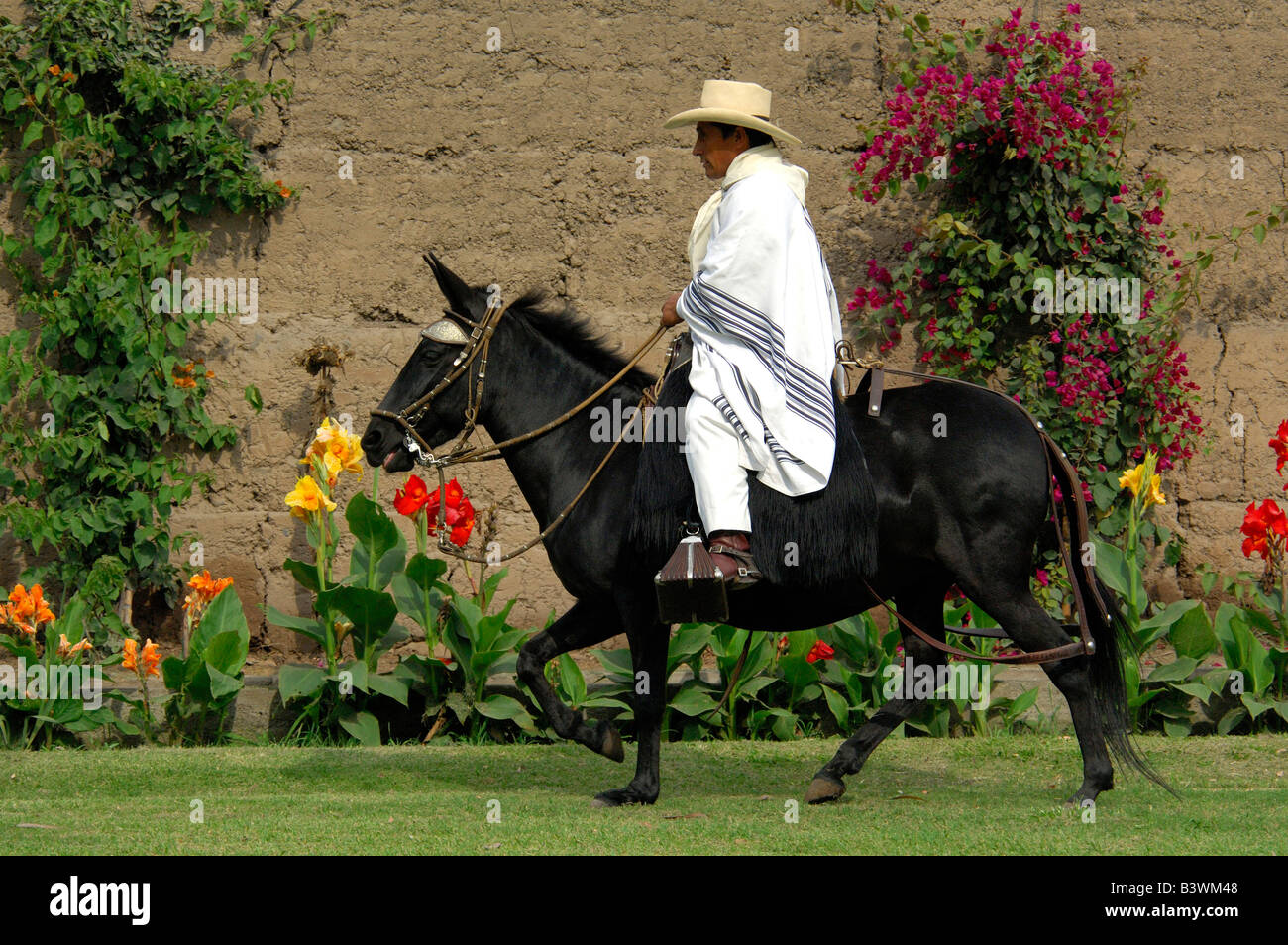 Chacra peru hi-res stock photography and images - Alamy