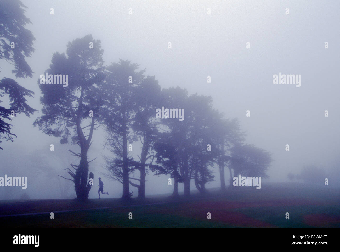 Fog jogger path hi-res stock photography and images - Alamy