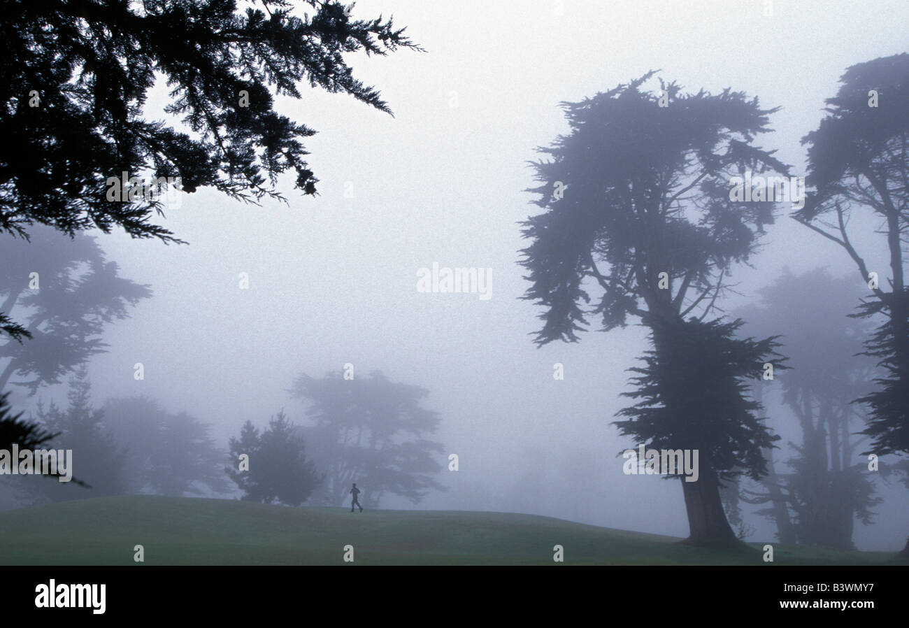 Runner alone on a path in the early morning San Francisco fog Stock ...