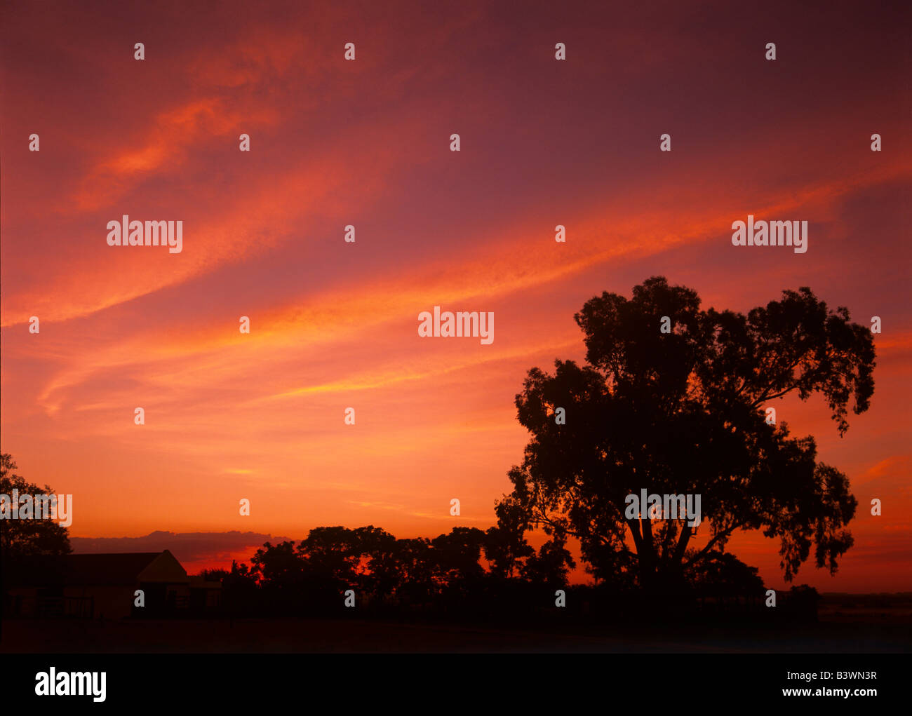 South America, Uruguay, Florida, estancia, ranch Stock Photo - Alamy