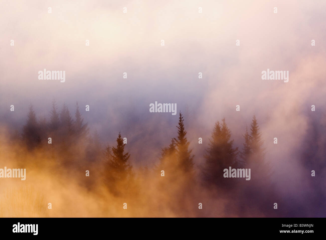Winter sunset and mist, Homer, Alaska Stock Photo - Alamy