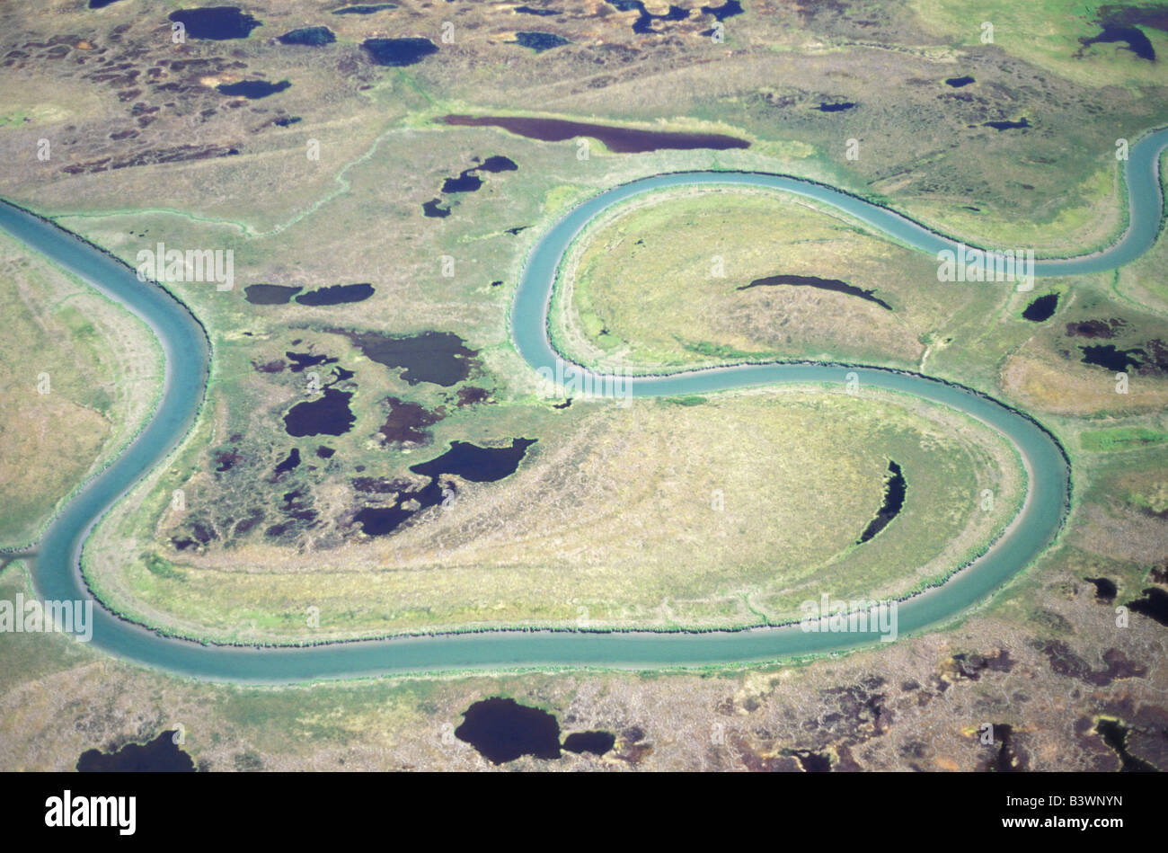 North America, USA, Alaska, ANWR. Tundra landscape on north slope of ...