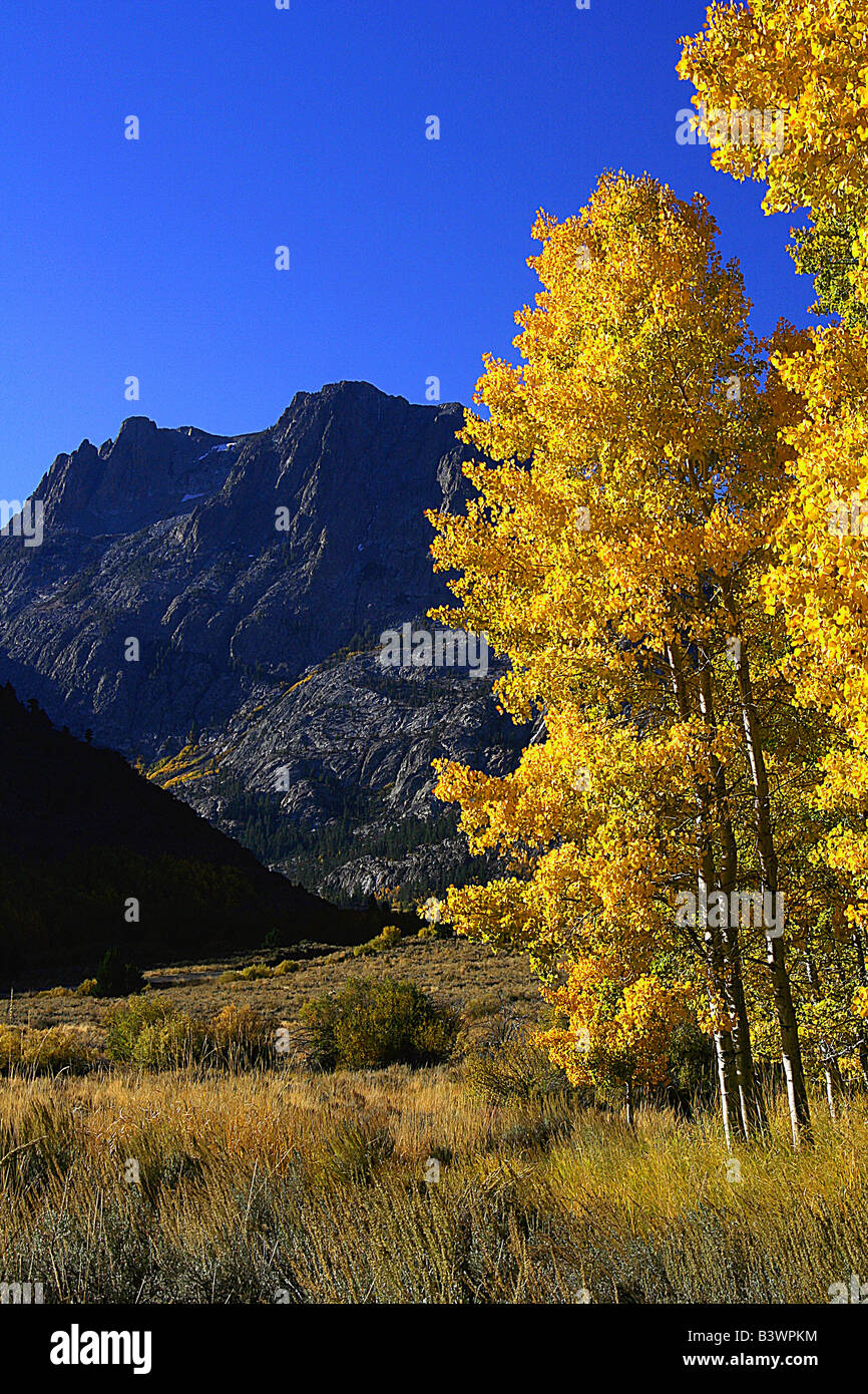 Carson mountain range hi-res stock photography and images - Alamy