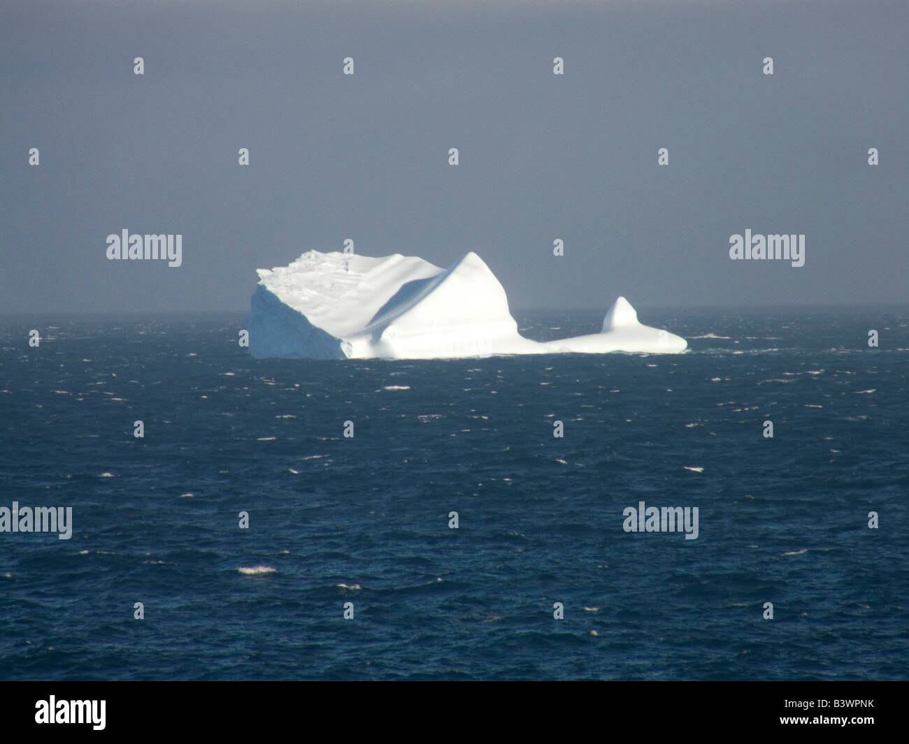 Iceberg in the sea, Bransfield Strait, Antarctica Stock Photo - Alamy