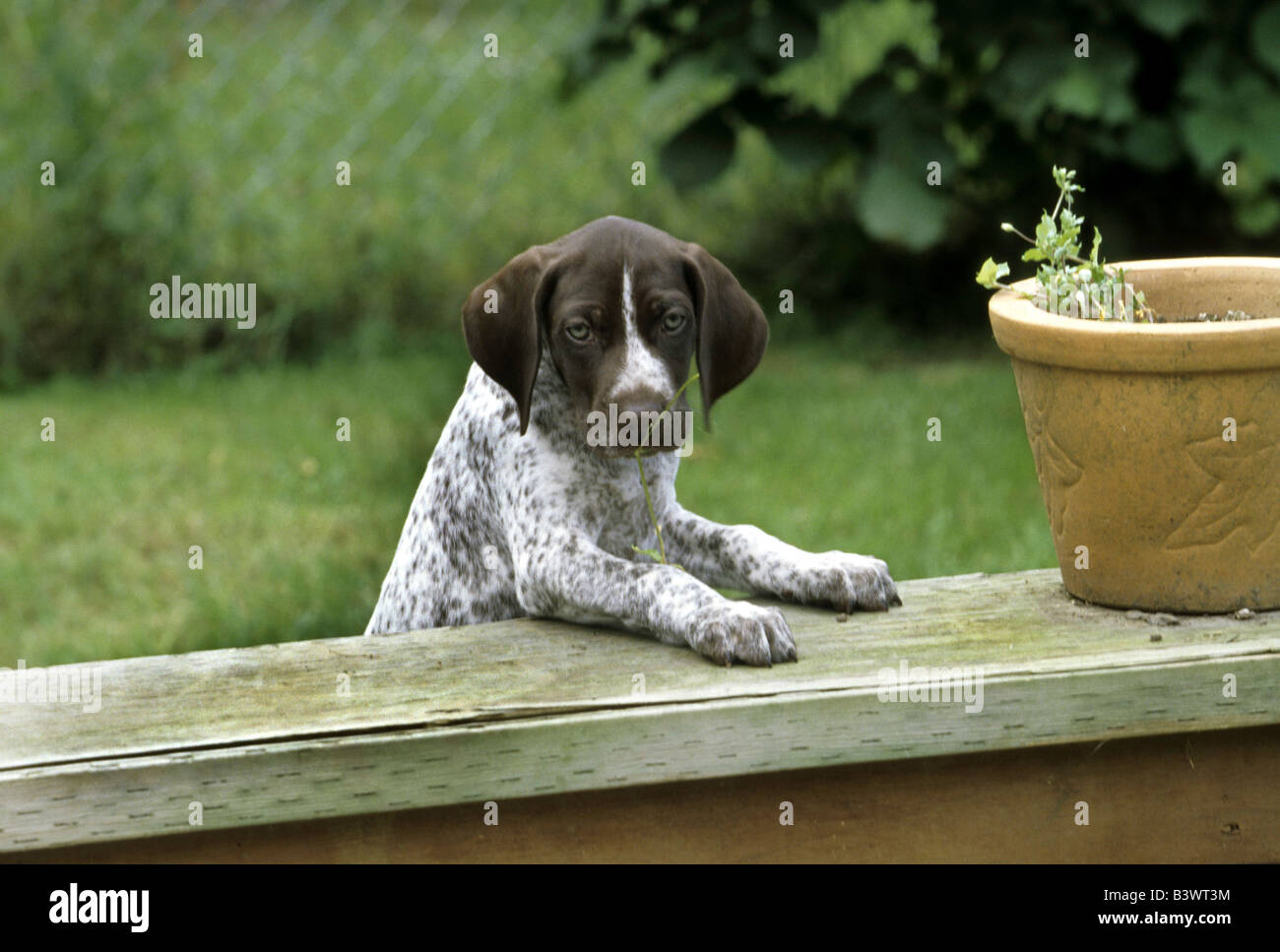 Leaning on a ledge hi-res stock photography and images - Alamy