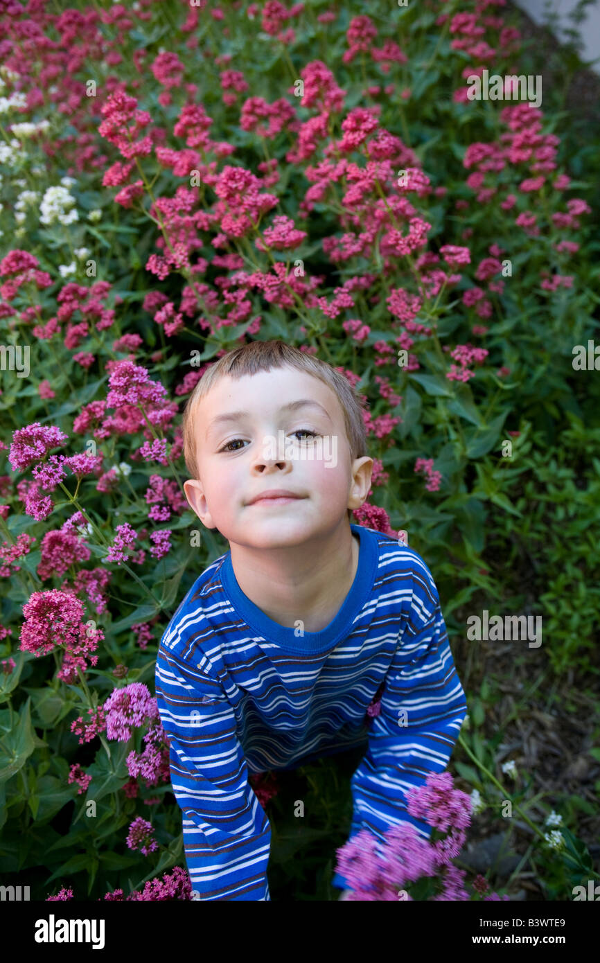 Youth picking flowers hi-res stock photography and images - Alamy