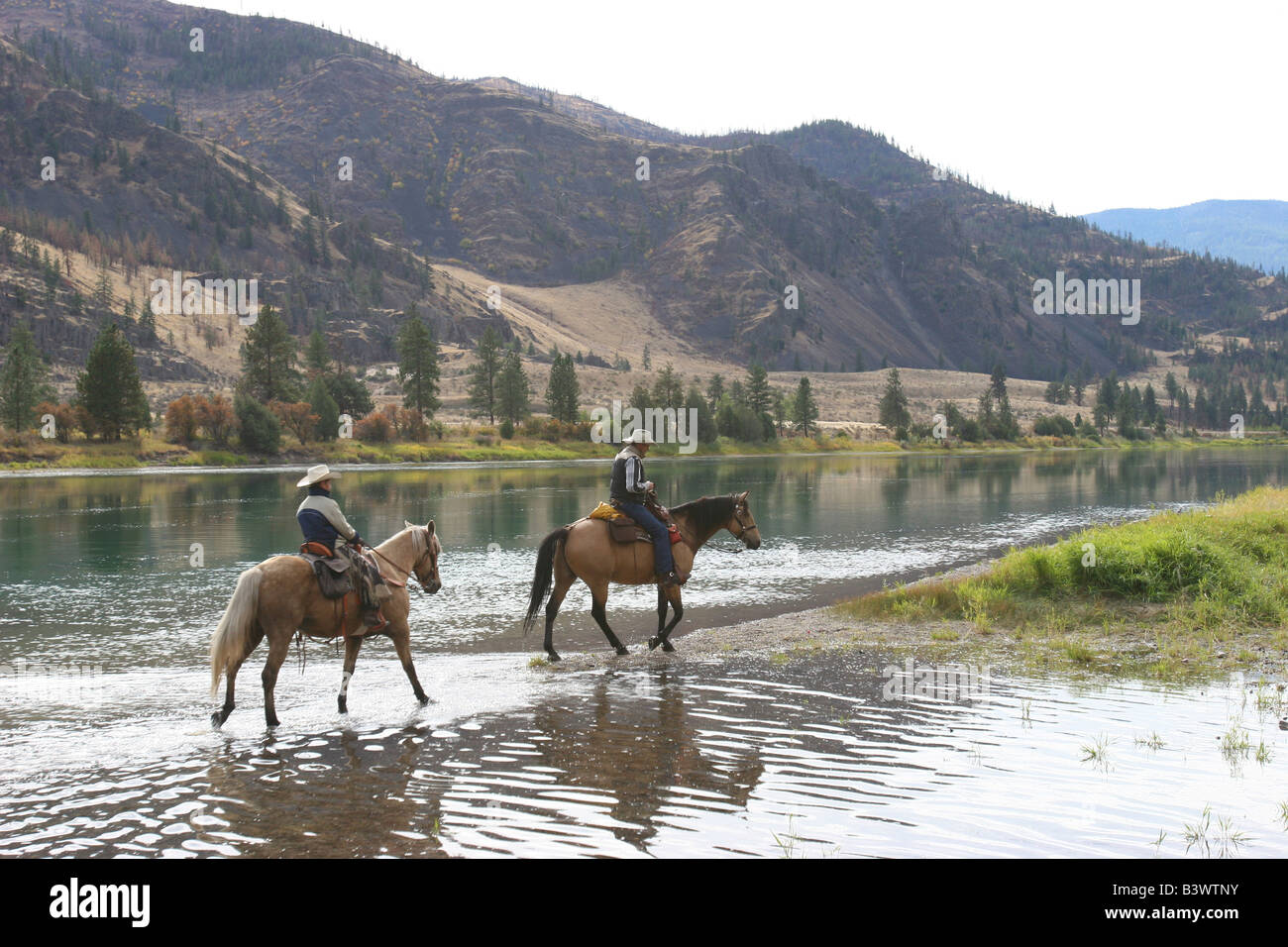 Two cowboys crossing river on horses, Montana, USA Stock Photo - Alamy