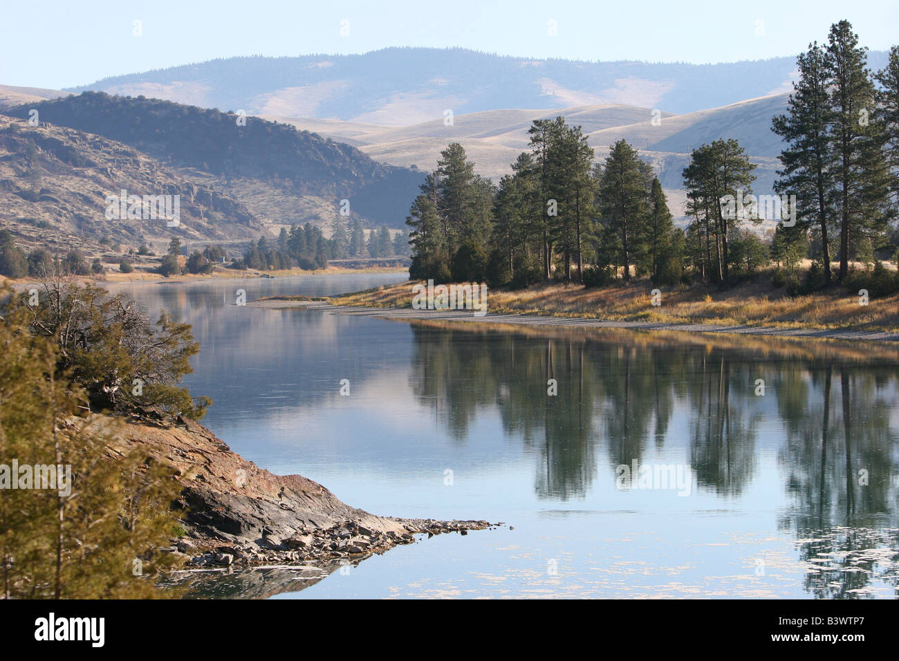 Reflection of trees in water, Flathead River, Montana, USA Stock Photo ...
