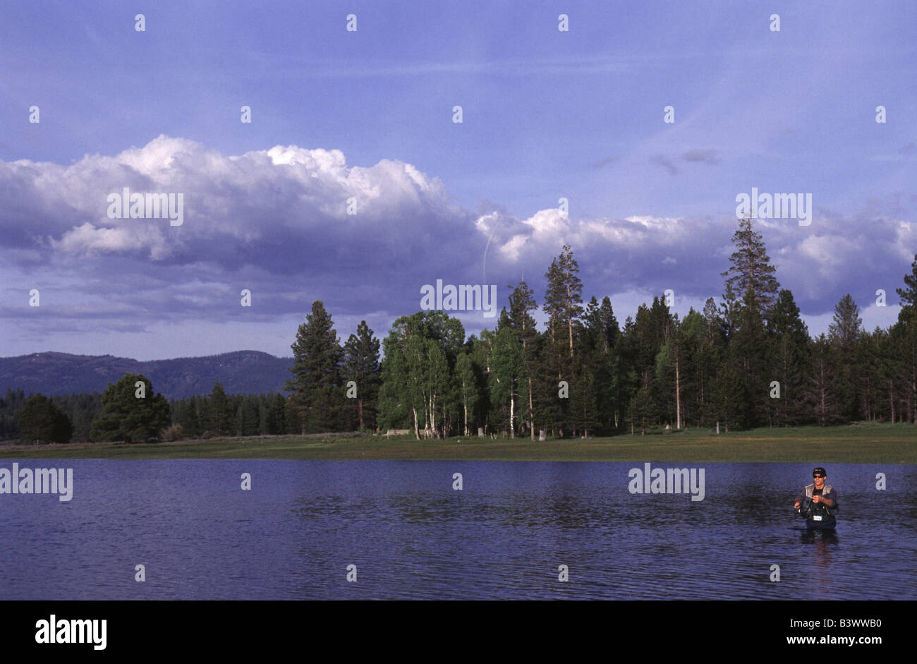 Man fly-fishing in a lake, Stampede Reservoir, Sierra county ...