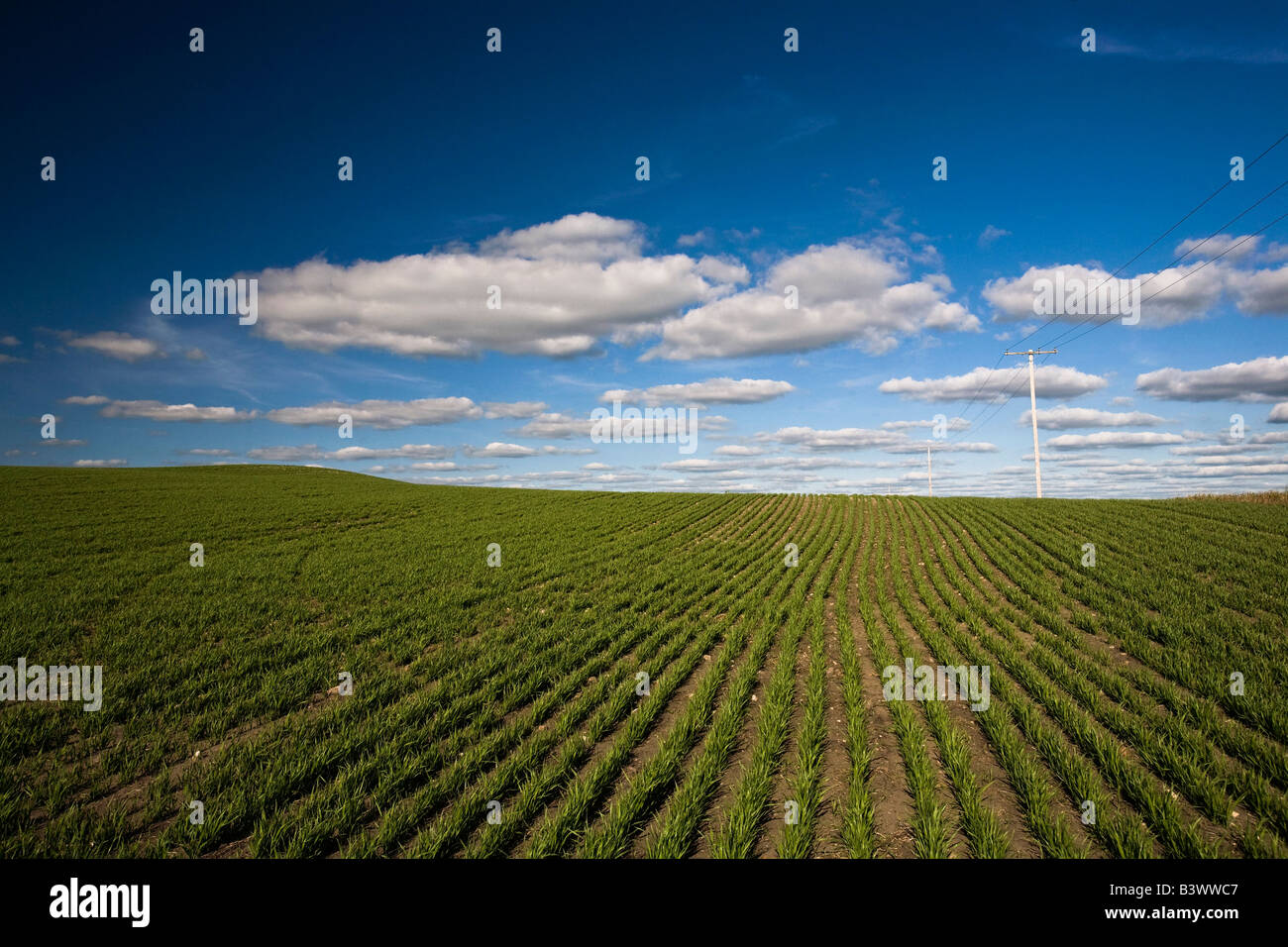 Prairie field in rural Saskatchewan, Canada Stock Photo - Alamy