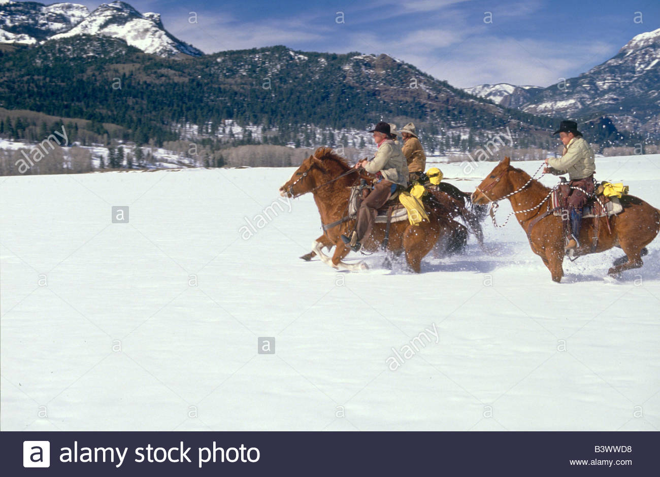 Three Cowboys On Horseback Stock Photos & Three Cowboys On Horseback ...