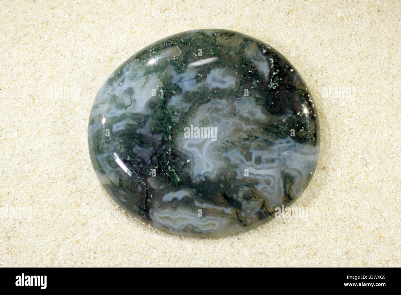 Moos healing hi-res stock photography and images - Alamy