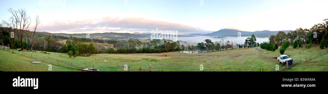 Early morning fog at a farm in Towamba in rural New South Wales ...