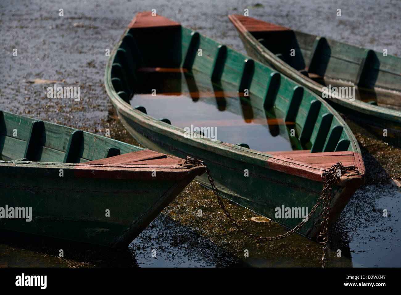 Water filled wooded boats on the shore Stock Photo - Alamy