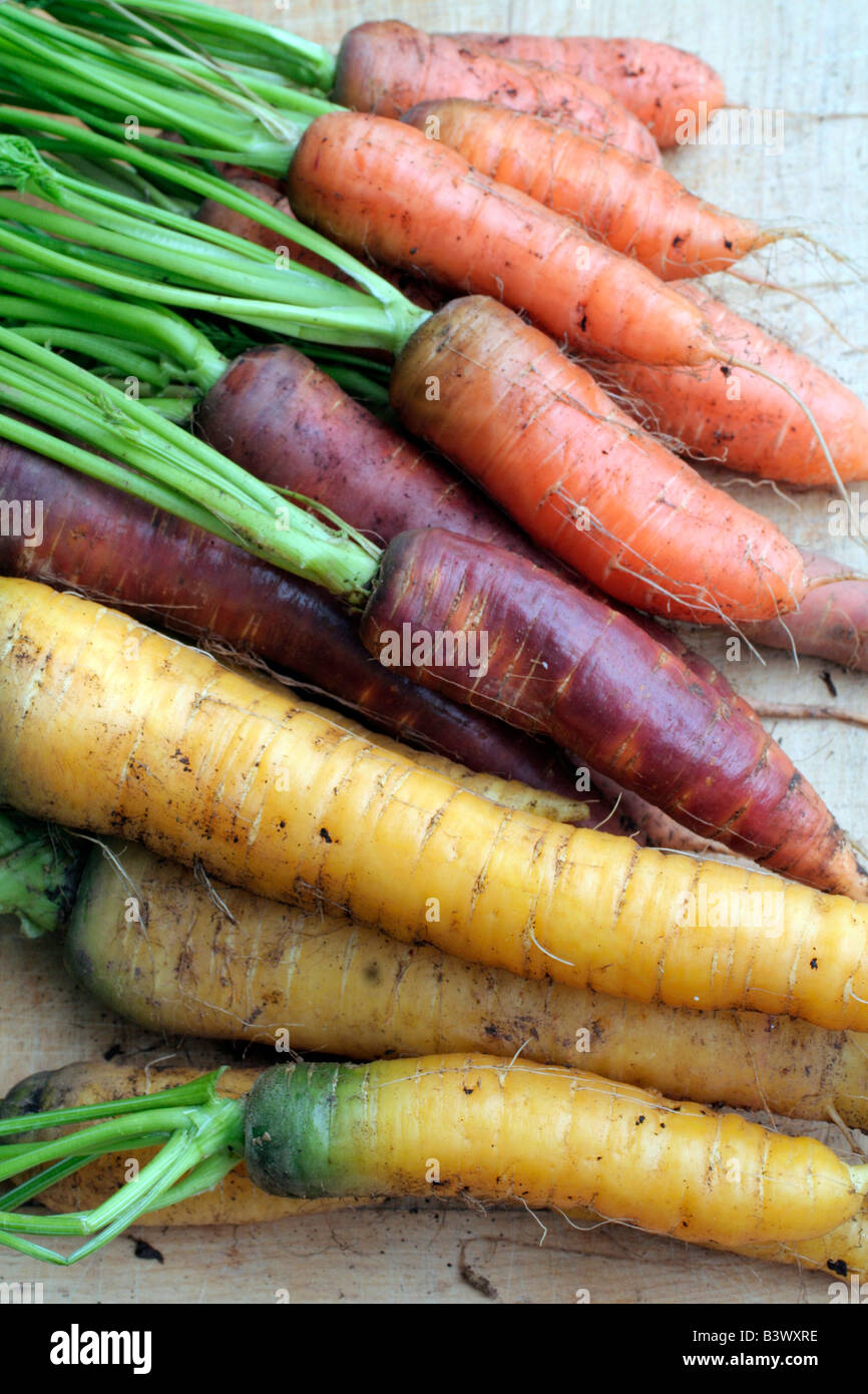 Purple haze carrots hi-res stock photography and images - Alamy