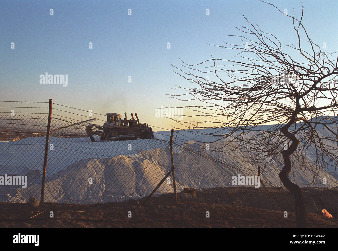 Dead sea ecosystem ecology treasures dead seas shores israel hi-res ...