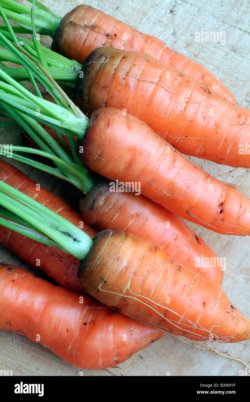 CARROTS LONG RED SURREY Stock Photo - Alamy