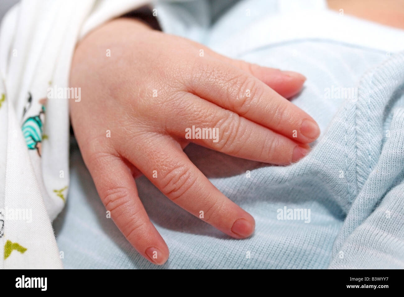 Five generations hands hi-res stock photography and images - Alamy