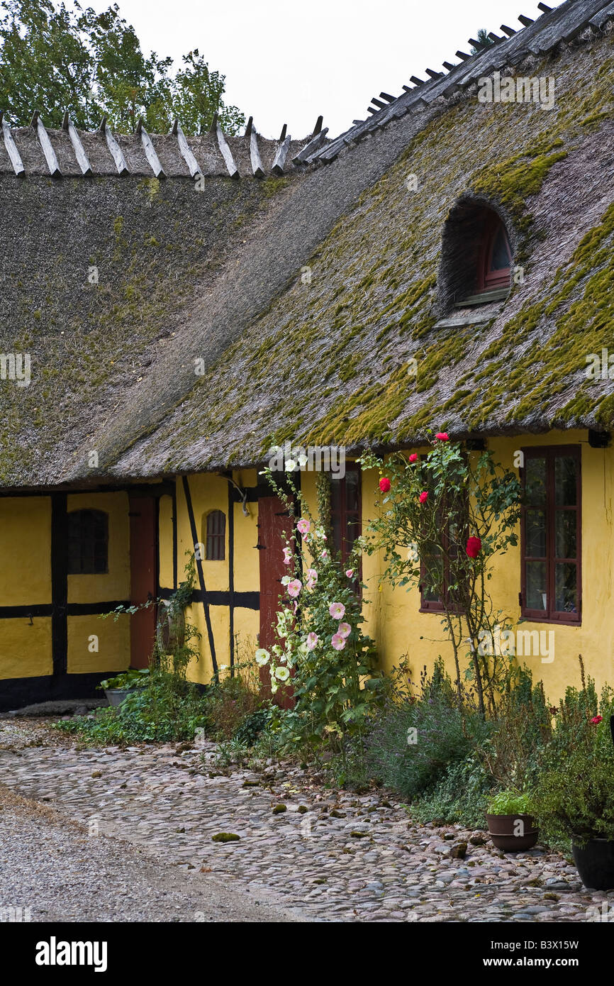 Typical Danish thatched cottage near Vejlø, Zealand, Denmark Stock ...