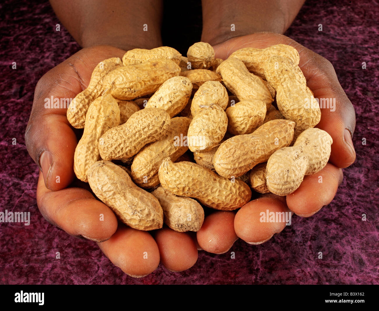 MAN HOLDING PEANUTS IN SHELLS OR MONKEY NUTS Stock Photo - Alamy
