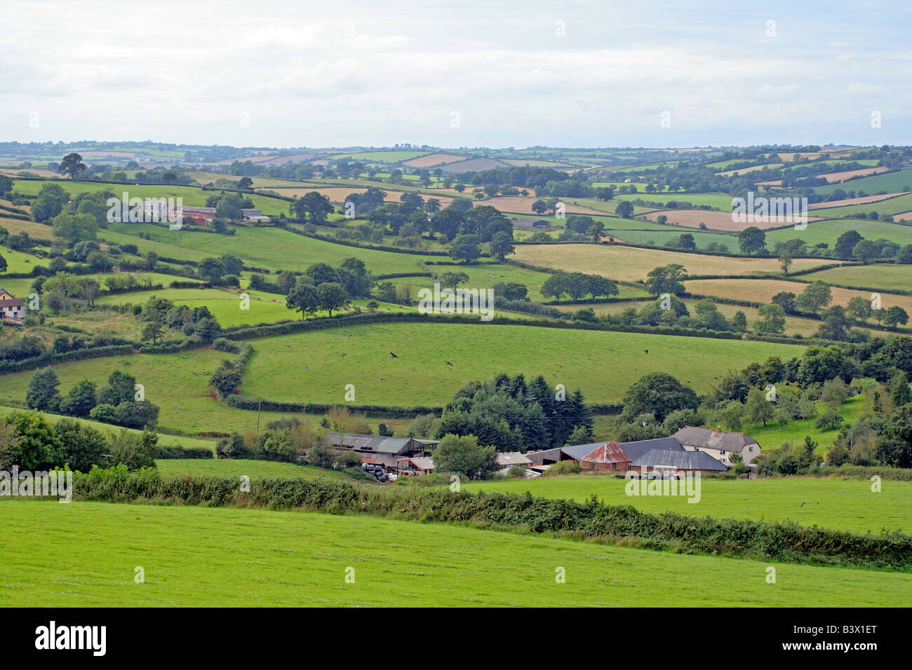 Crediton hi-res stock photography and images - Alamy