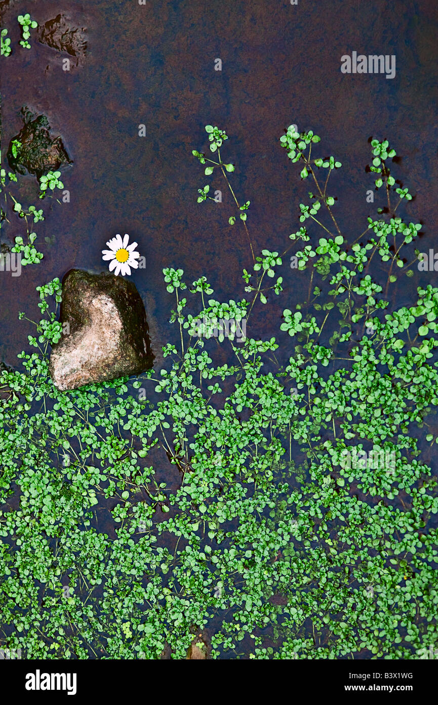 Sludgy hi-res stock photography and images - Alamy