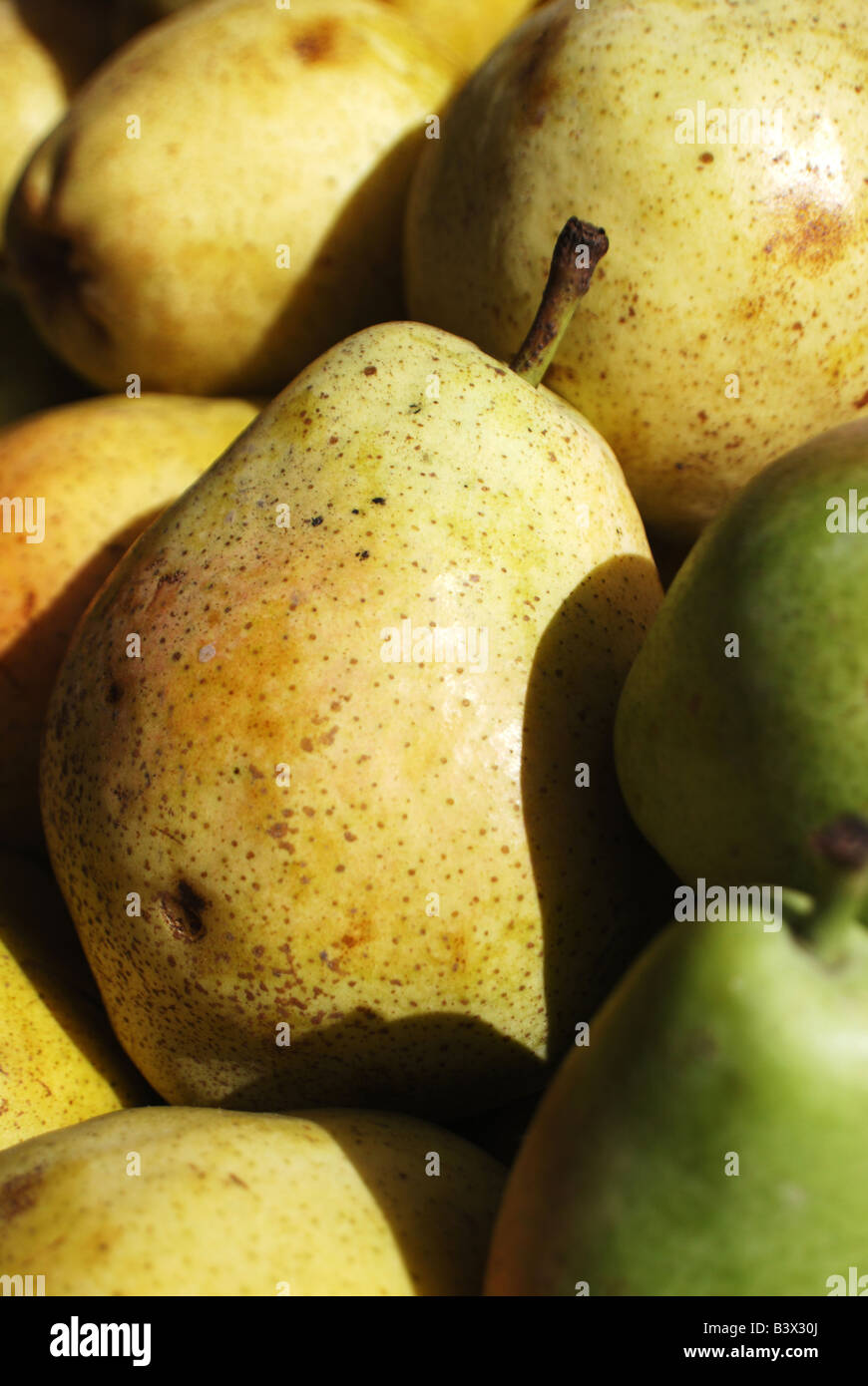 Anjou pears hi-res stock photography and images - Alamy
