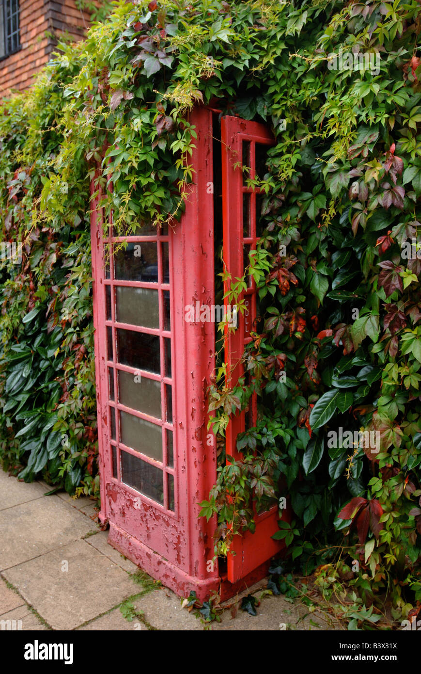 AN OLD STYLE OVERGROWN BRITISH TELEPHONE BOX WITH PEELING RED PAINT UK ...