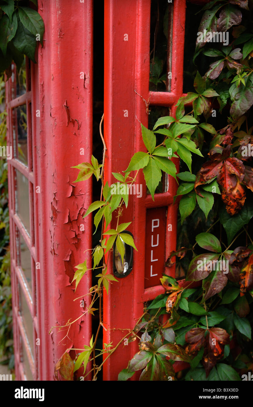AN OLD STYLE OVERGROWN BRITISH TELEPHONE BOX WITH PEELING RED PAINT UK ...