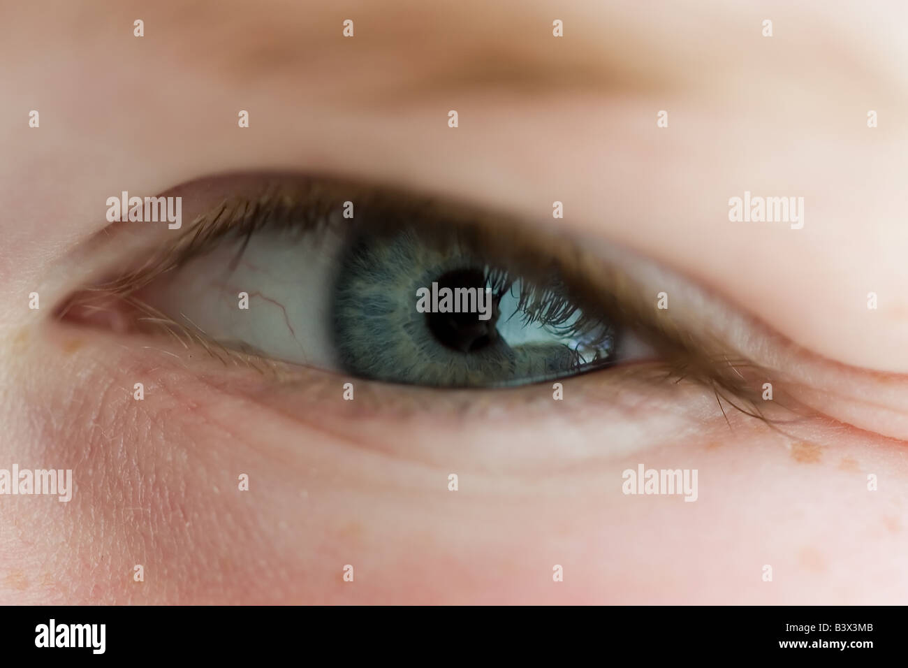 Close up of a blue eye Stock Photo - Alamy