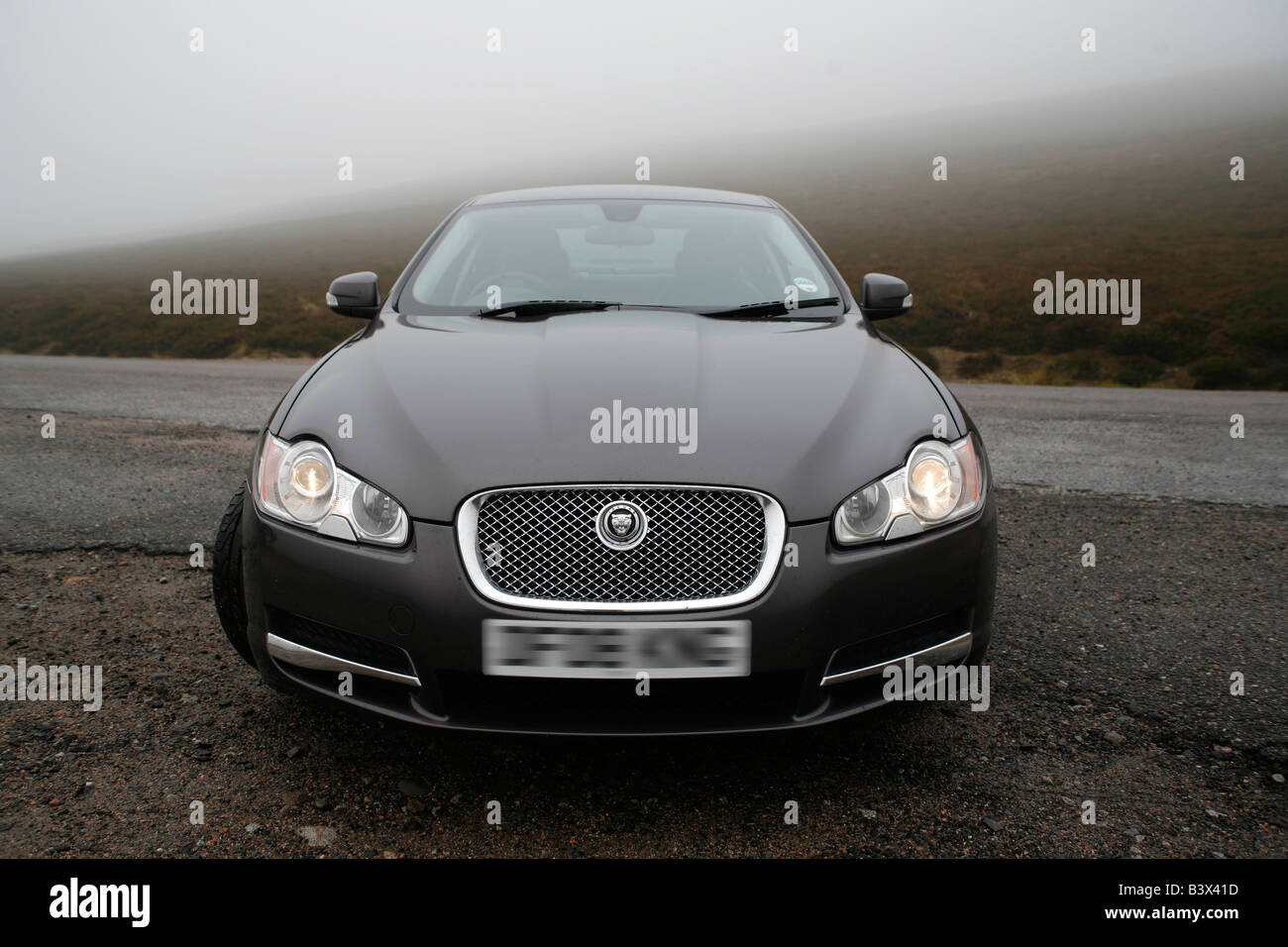 Fast Jaguar High Resolution Stock Photography and Images - Alamy