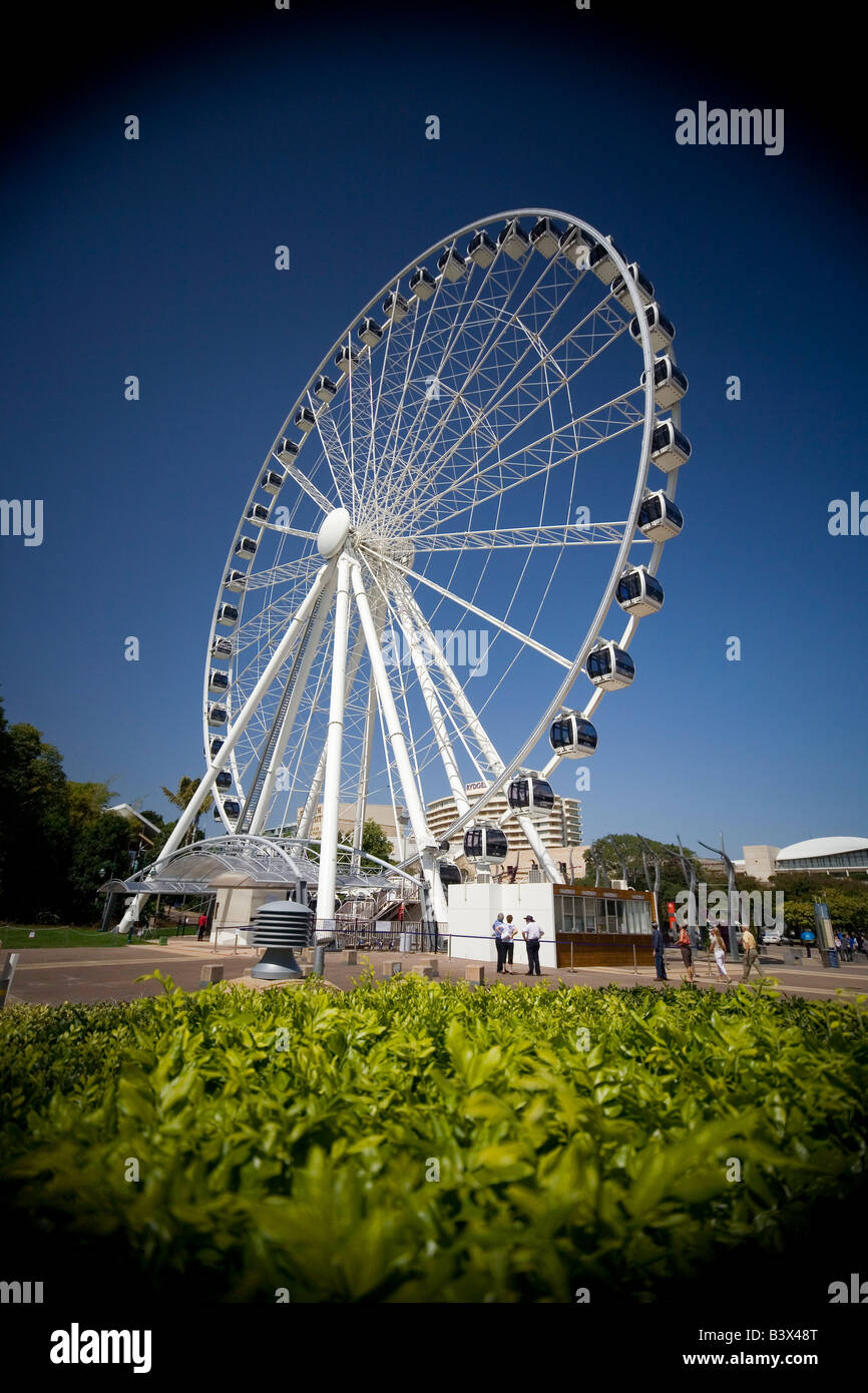 The Wheel of Brisbane, South Bank, Brisbane, Australia Stock Photo - Alamy