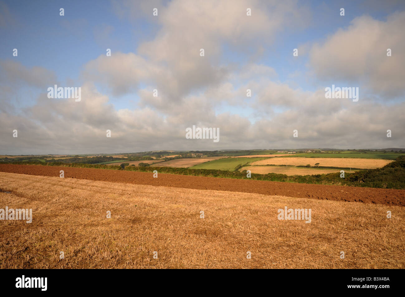 Mawnan smith hi-res stock photography and images - Alamy