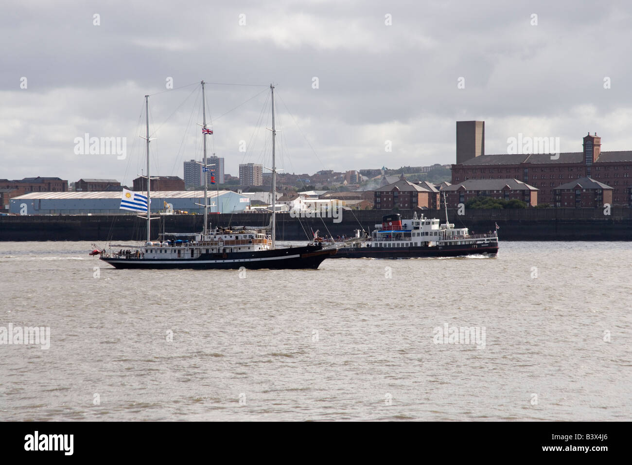 Tall snowdrop hi-res stock photography and images - Alamy