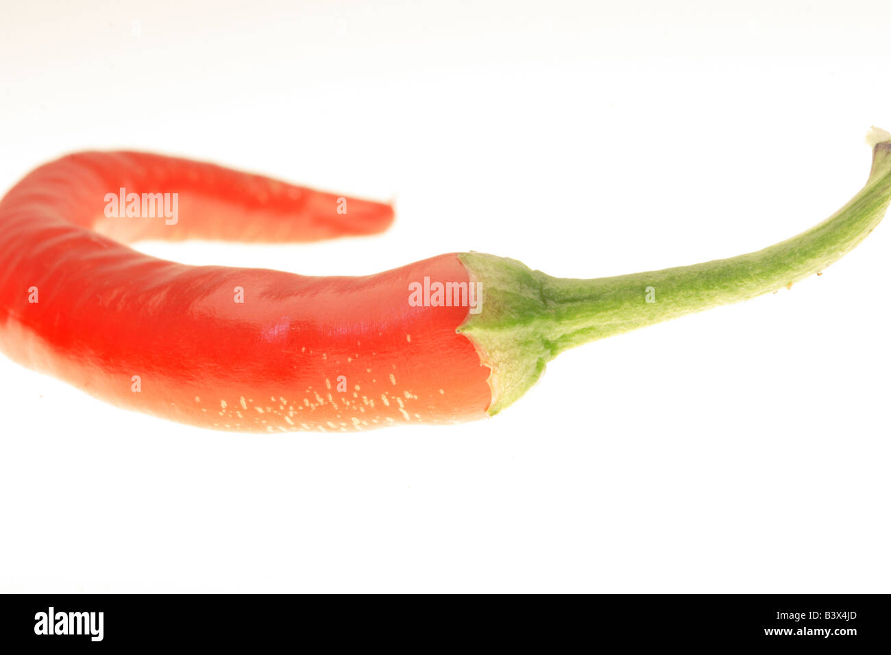 big red chili Stock Photo - Alamy