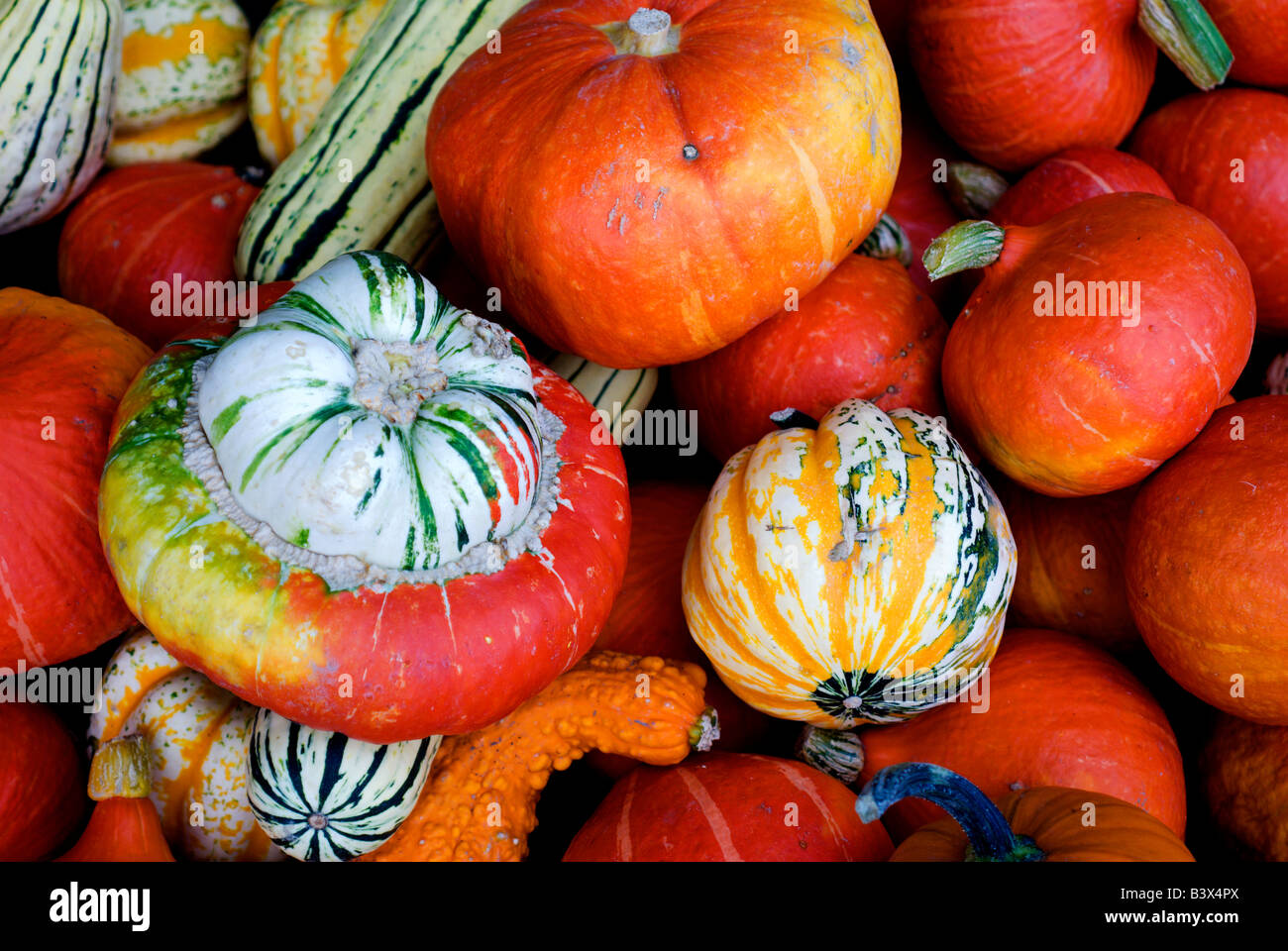 A mixed stack of pumpkins, squash, and gourds for sale at a roadside ...