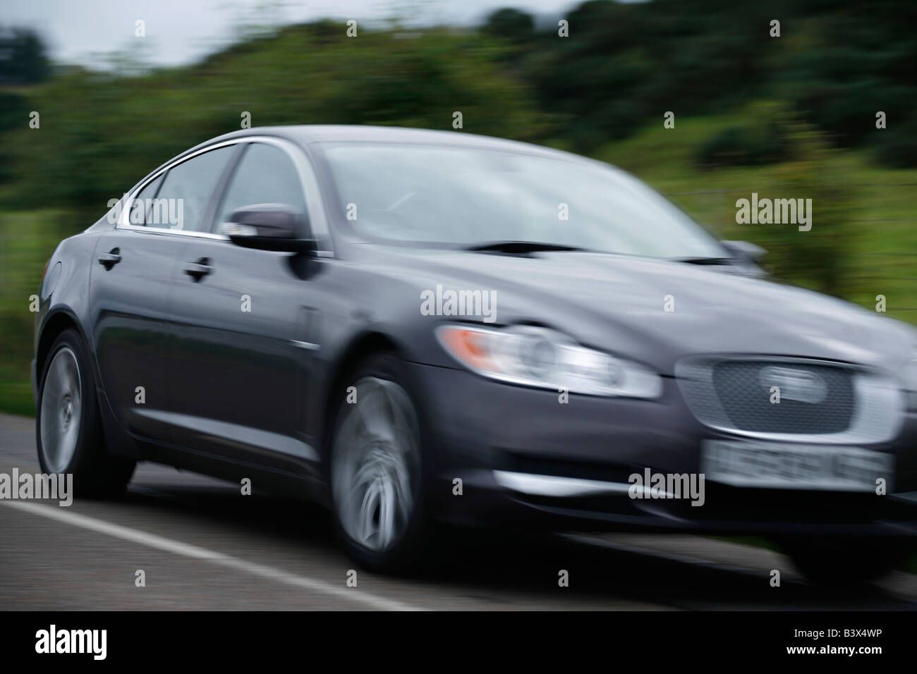 Fast Jaguar High Resolution Stock Photography and Images - Alamy