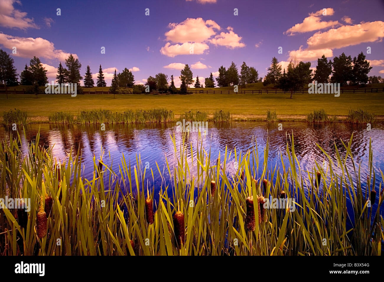 Lake and meadow Stock Photo - Alamy