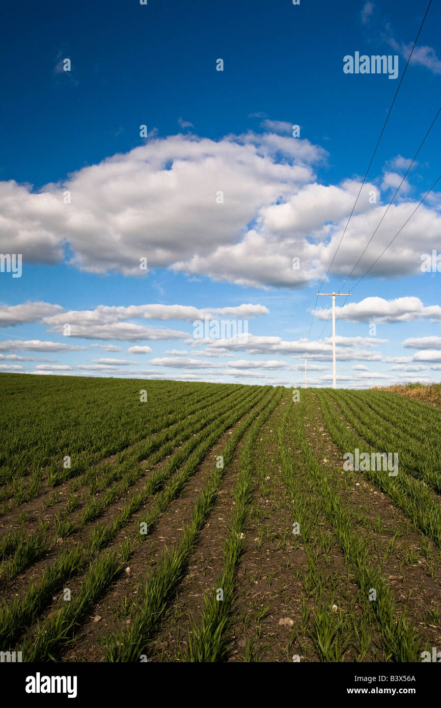 Prairie Saskatchewan Stock Photos & Prairie Saskatchewan Stock Images ...