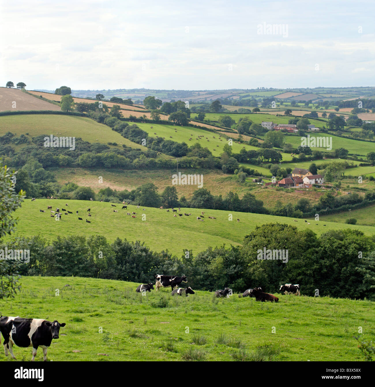 Crediton hi-res stock photography and images - Alamy